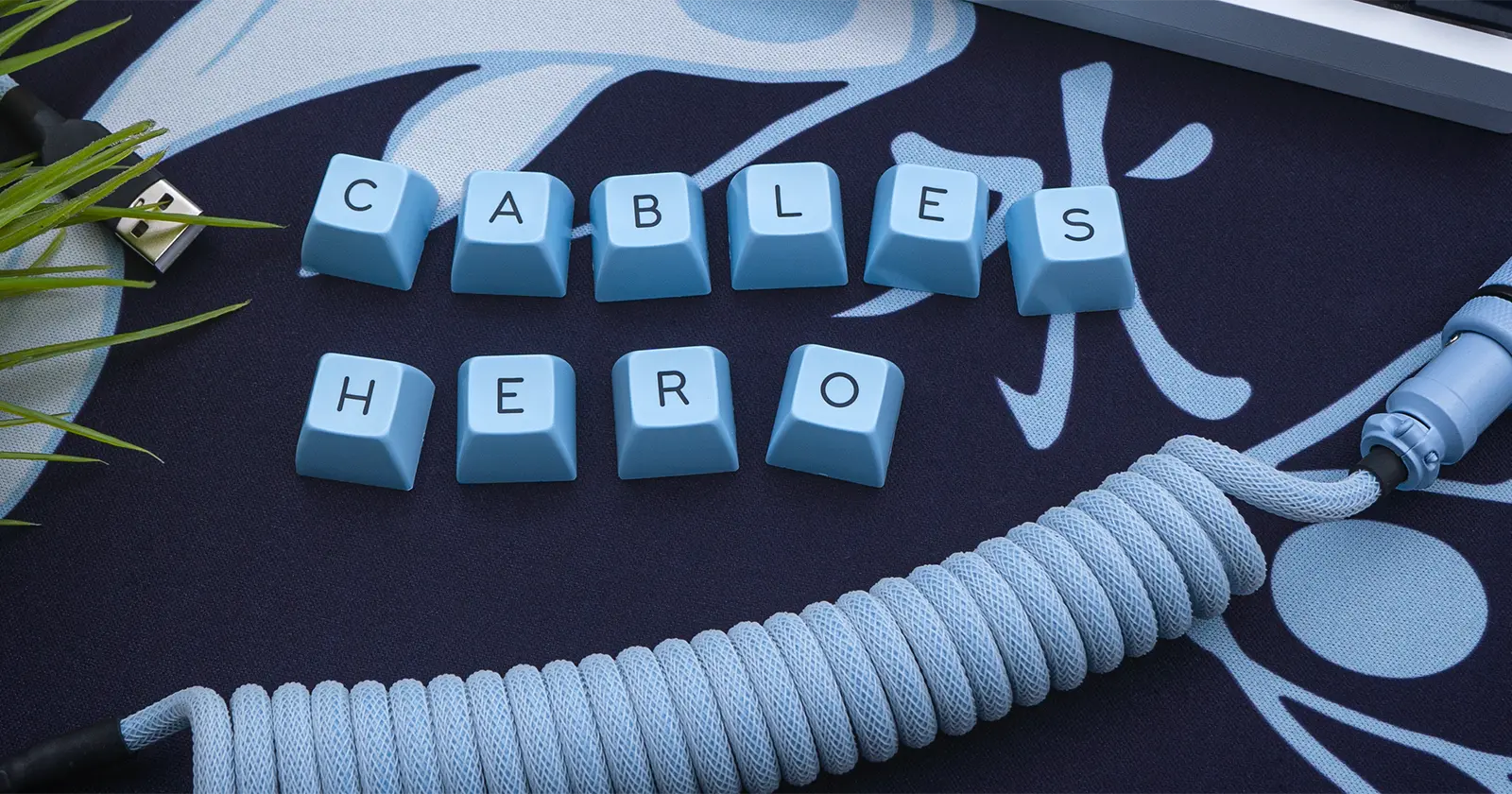 Coiled Cable For Mechanical Keyboard Europe | Cables Hero